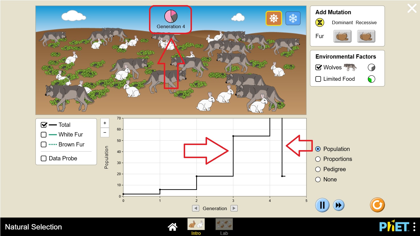 Twin Educator Platform