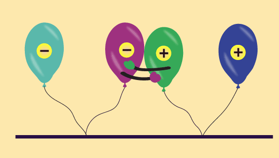 Twin Educator Platform